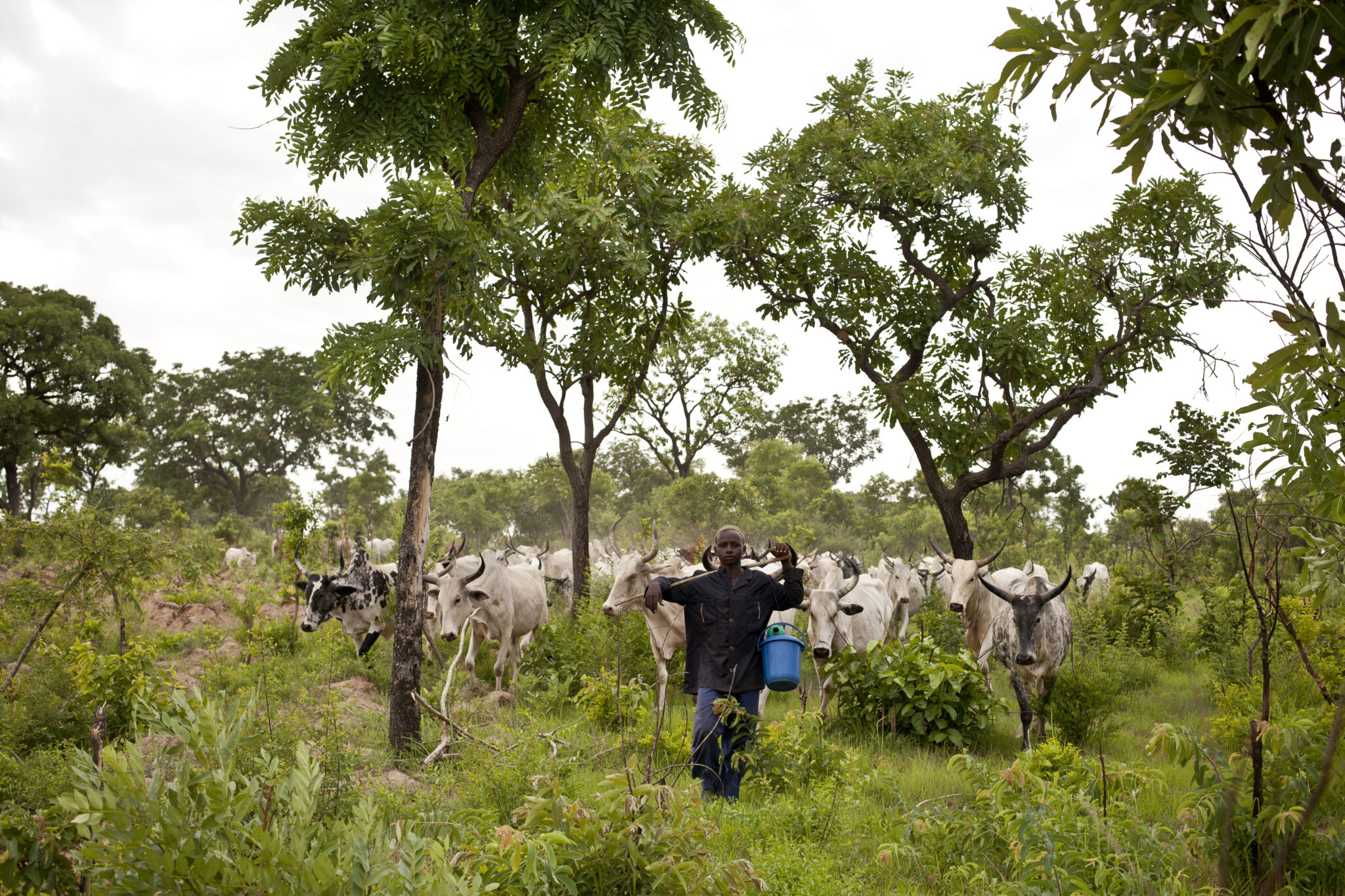 Bulletins trimestriels d’information sur la mise en œuvre du projet PAP ...